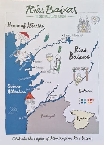 Best Albariño Bodegas Castro Martin Rias Baixas award-winning white wine